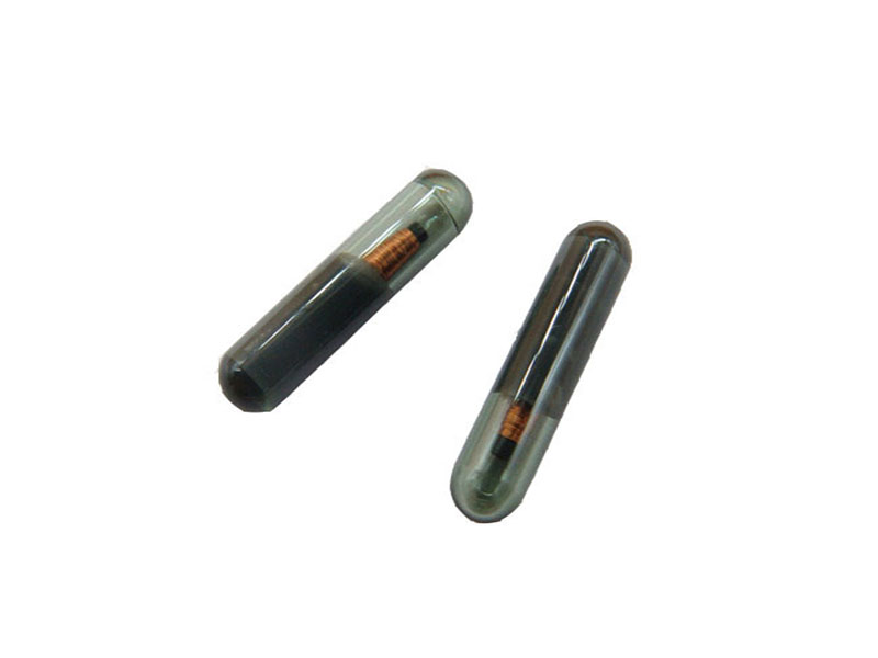 Midrand Auto key Programming